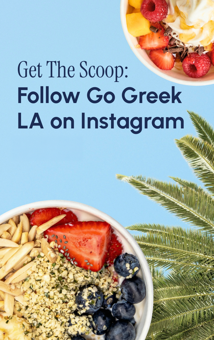 Go Greek Yogurt